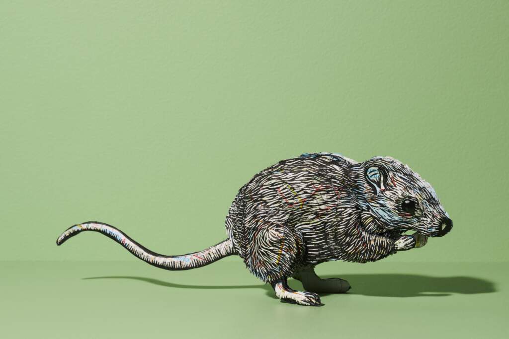 Local artist Kat Parker to present new solo exhibition in SAM’s ...